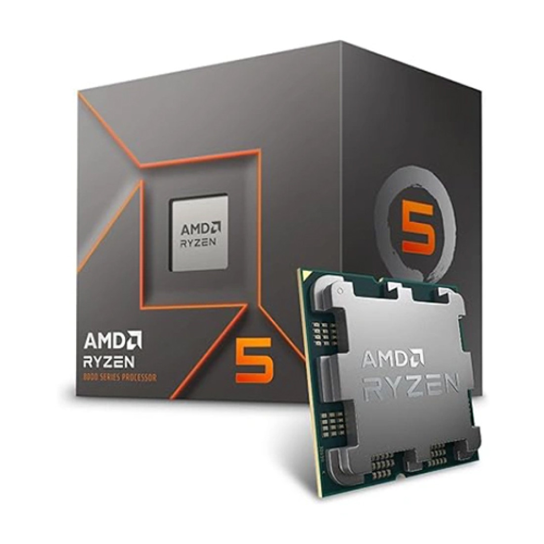 AMD Ryzen 5 8400F Processor Price in BD | 6-Core Zen 4 CPU